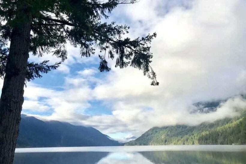 Olympic National Park Small Group Day Tour w/ State Ferries - A Deep Dive into the Olympic National Park Day Tour