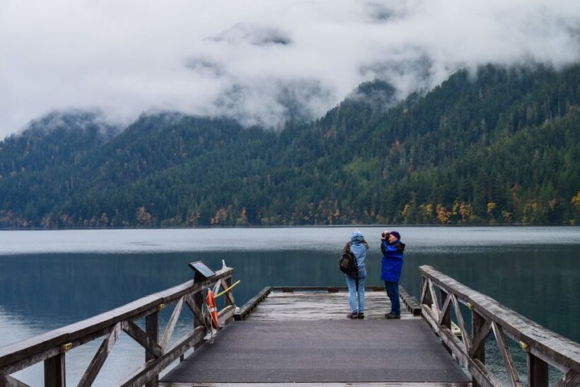 Olympic National Park: Sol Duc and Hurricane Ridge Tour - An In-Depth Look at the Tour