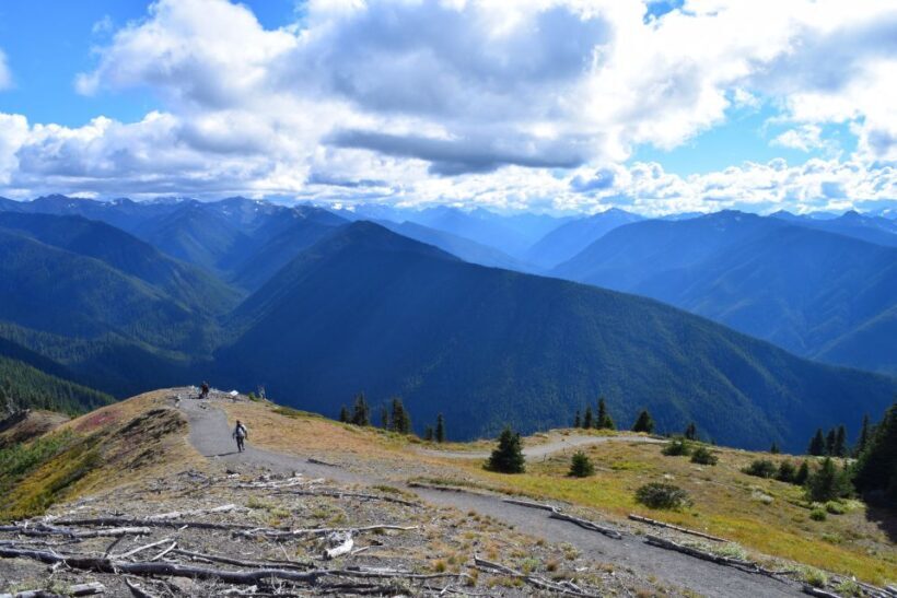 Olympic National Park: Sol Duc and Hurricane Ridge Tour - Who Would Love This Tour?
