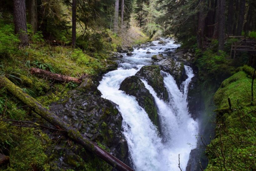 Olympic National Park: Sol Duc and Hurricane Ridge Tour - FAQ