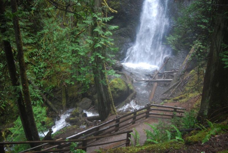 Olympic National Park: Sol Duc and Hurricane Ridge Tour - What’s Included and What to Expect