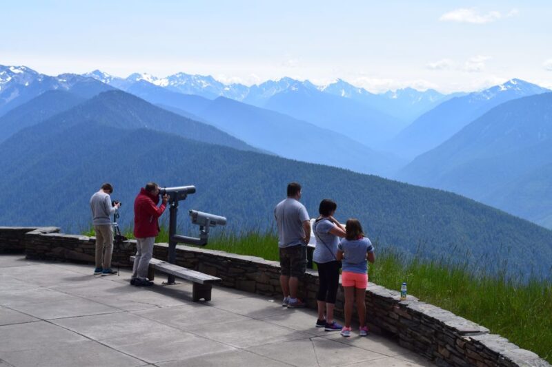 Olympic National Park: Sol Duc and Hurricane Ridge Tour - The Experience: Pros and Cons