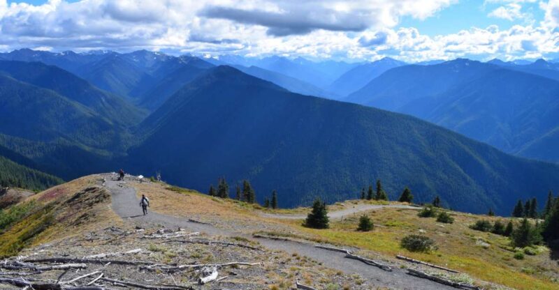 Olympic National Park: Sol Duc and Hurricane Ridge Tour - Frequently Asked Questions