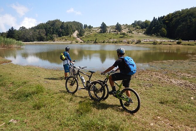 Olympus Mountain Biking - Rides tailored to you - Discover the Thrills of Olympus Mountain Biking