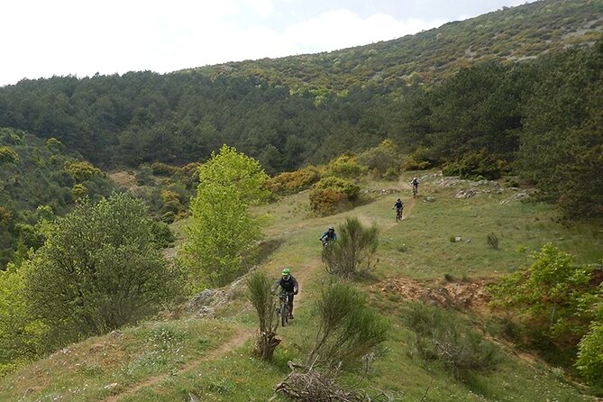 Olympus Mountain Biking - Rides tailored to you - The Sum Up