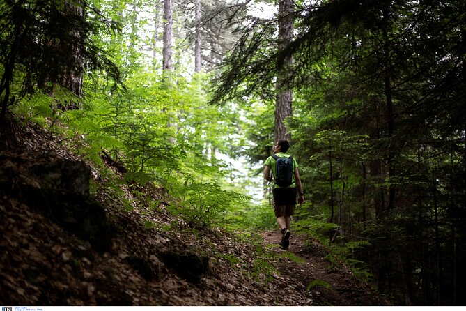 Olympus the Mountain of the 12 Gods of Greek Mythology Smallgroup - Meeting and Accessibility