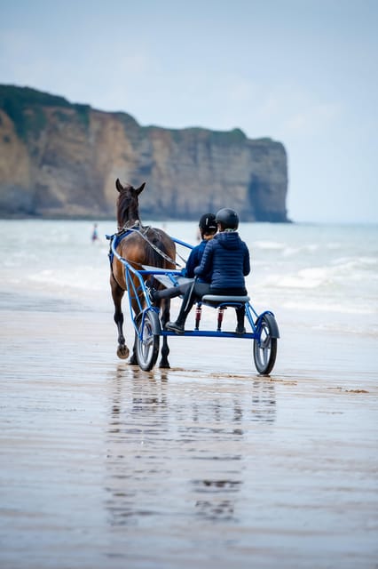 Omaha Beach: Sulky baptism on the beach - Key Points