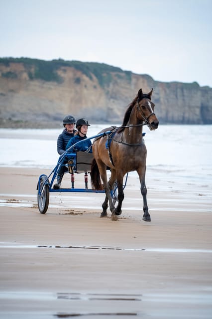Omaha Beach: Sulky baptism on the beach - Final Thoughts