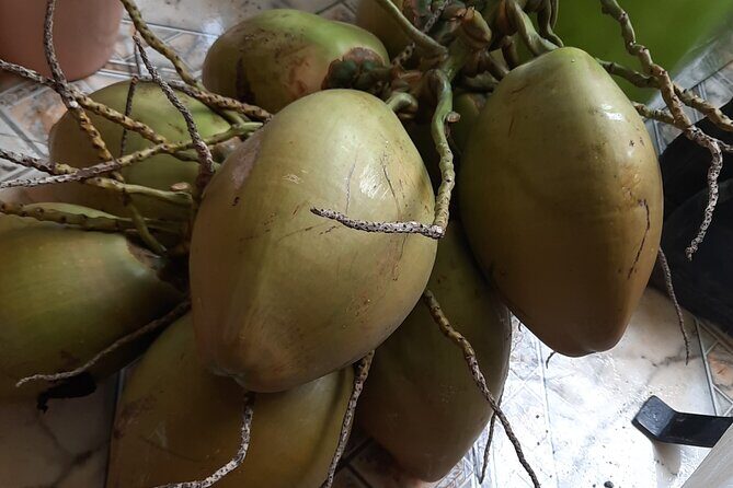 Omar's River Tubing from Montego Bay - Frequently Asked Questions