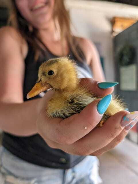 Omemee: A Playdate With a Pony - Final Thoughts: Who Will Love This Tour?