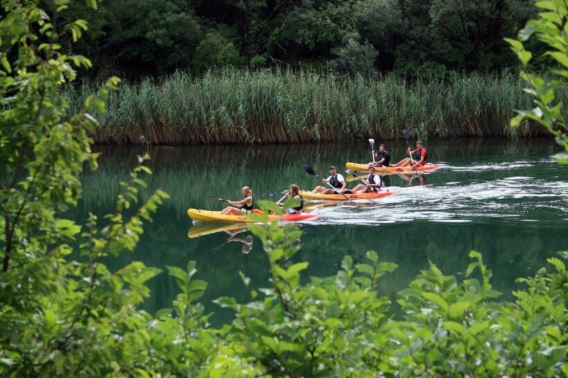 Omi: Kayaking and Snorkeling Tour - An In-Depth Look at the Omi Kayaking and Snorkeling Tour