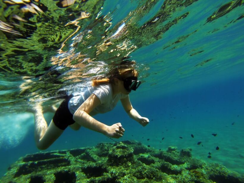 Omi: Kayaking and Snorkeling Tour - Authentic Traveler Experiences
