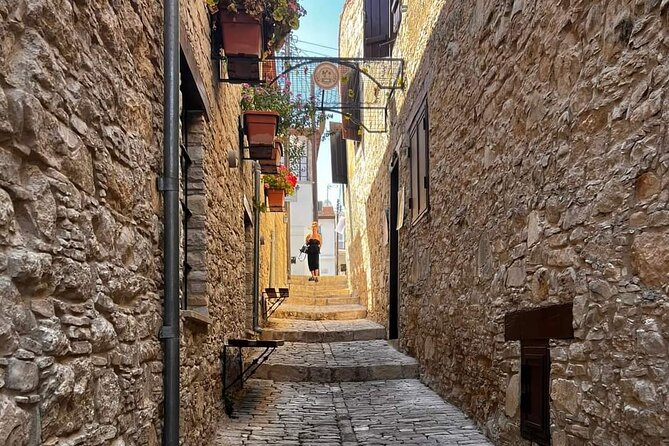 Omodos and Winiary Tour, Lets Feel Winter in Cyprus Mountain. - The Perfect Getaway for Small Groups