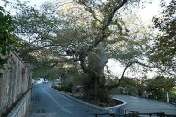 On the trail of the Greek Mythology - The Day’s Practicalities