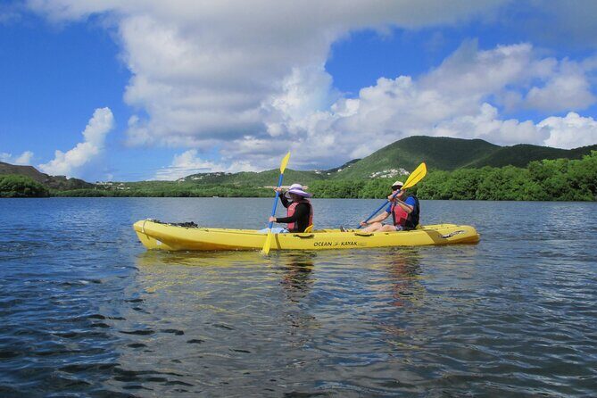 On Your Own: Kayak in the Mangrove Lagoon - Frequently Asked Questions
