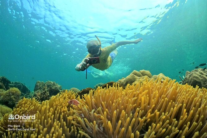 OnBird - PRIVATE ADVENTURE SNORKELING - explore Half-moon reef & Coral Mountain - Key Points