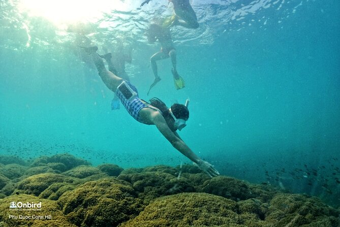 OnBird - PRIVATE ADVENTURE SNORKELING - explore Half-moon reef & Coral Mountain - What Makes This Tour Excellent