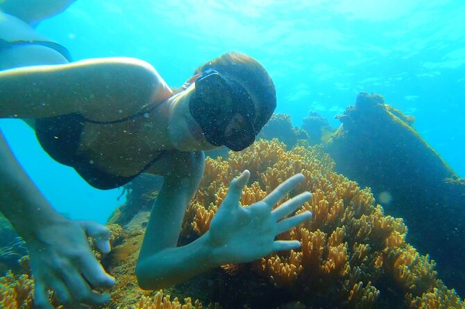 OnBird - PRIVATE ADVENTURE SNORKELING - explore Half-moon reef & Coral Mountain - Practical Details and Tips