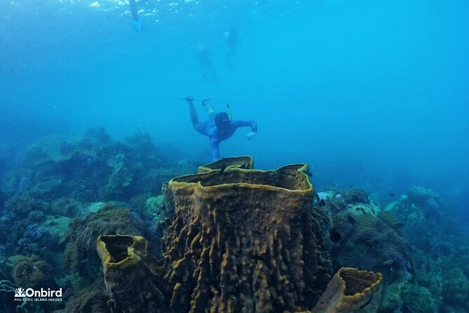 OnBird - PRIVATE ADVENTURE SNORKELING - explore Half-moon reef & Coral Mountain - Final Thoughts