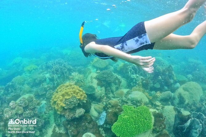 OnBird - Private family KID-FRIENDLY Snorkeling trip by speedboat in Phu Quoc - Price and Value: Is It Worth It?