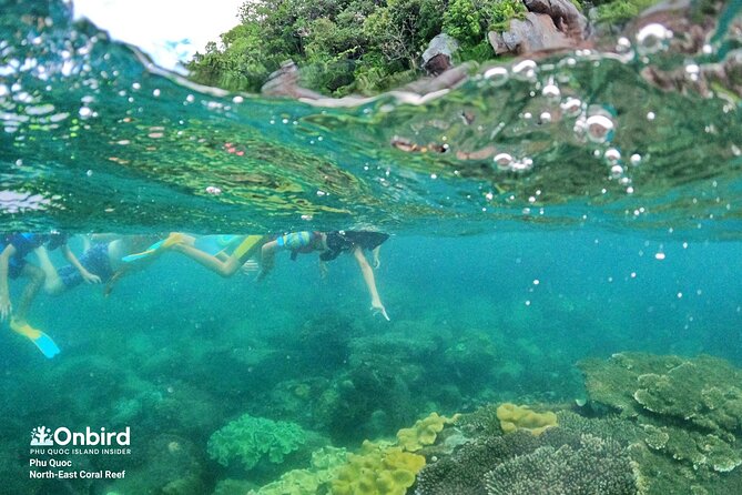 OnBird - Private family KID-FRIENDLY Snorkeling trip by speedboat in Phu Quoc - FAQ