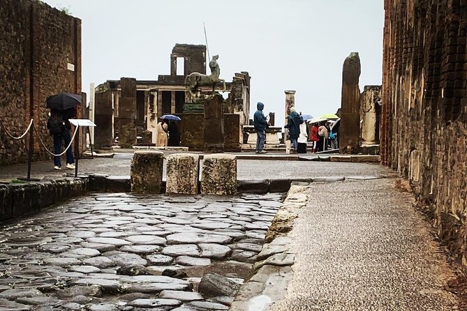 Once Upon a Time Pompeii 2 and a Half Hour Tour - Meeting and Pickup Details
