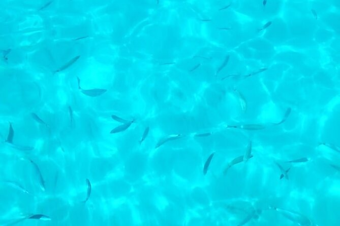 One and a Half Hour Boat Excursion to Scala Dei Turchi - Accessibility and Traveler Recommendations