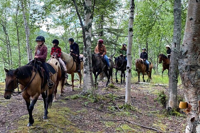 One and Half Hour Trail Ride at The Base of Chugach Mountains - Key Points