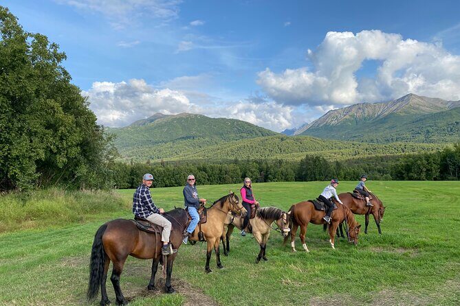 One and Half Hour Trail Ride at The Base of Chugach Mountains - A Deep Dive into the Trail Ride Experience