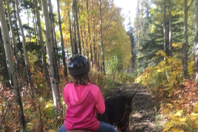 One and Half Hour Trail Ride at The Base of Chugach Mountains - Final Thoughts: Who Should Consider This?