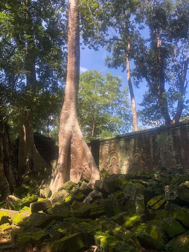 One Day Angkor Wat Bayon Ta Prohm from Siem Reap - Key Points