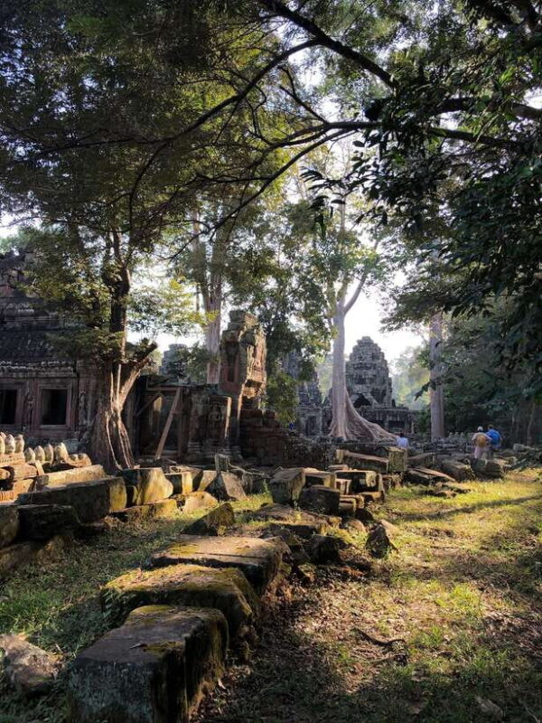 One Day Angkor Wat Bayon Ta Prohm from Siem Reap - Practical Tips for Your Day