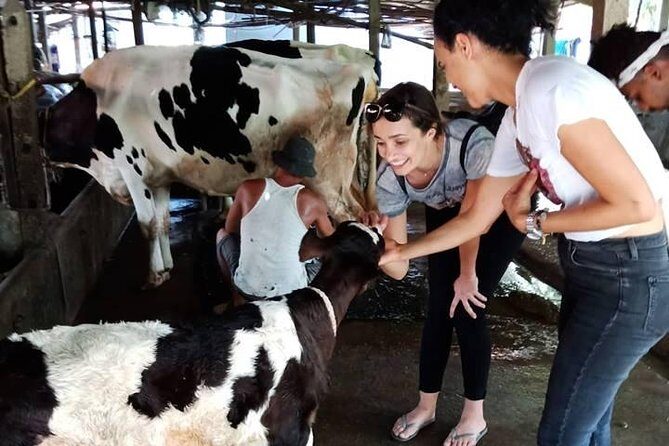 One day be Farmer and Master chef in Saigon - An In-Depth Look at the Experience