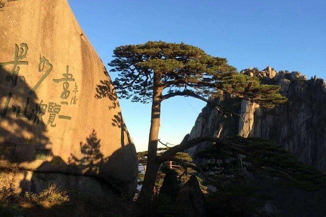 One Day Car Rental from Tunxi hotels to Yellow Mountain and Return - Analyzing the Value