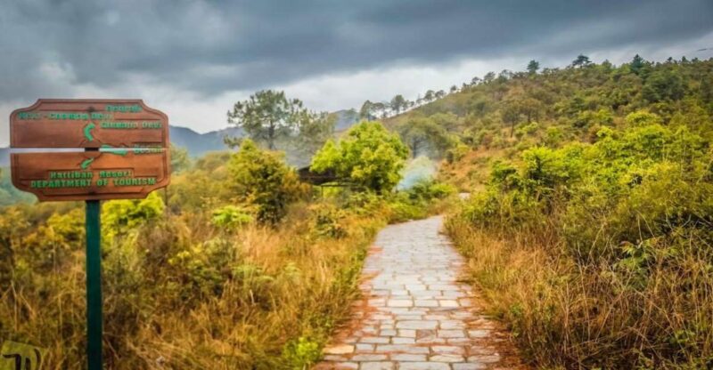 One day Champadevi hike (Kathmandu-Champadevi) - Detailed Itinerary Breakdown