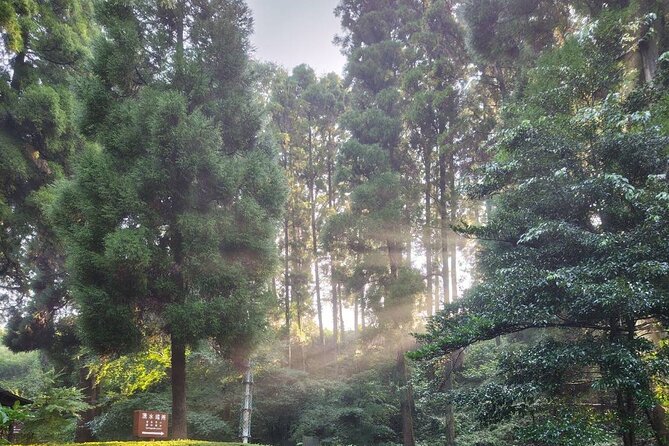 One-Day Customized Minami-Aso & Takachiho Tour - Transportation and Logistics