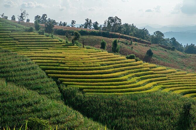 One day Doi Inthanon & Trekking at Pha Dok Siew - Who Will Love This Tour?