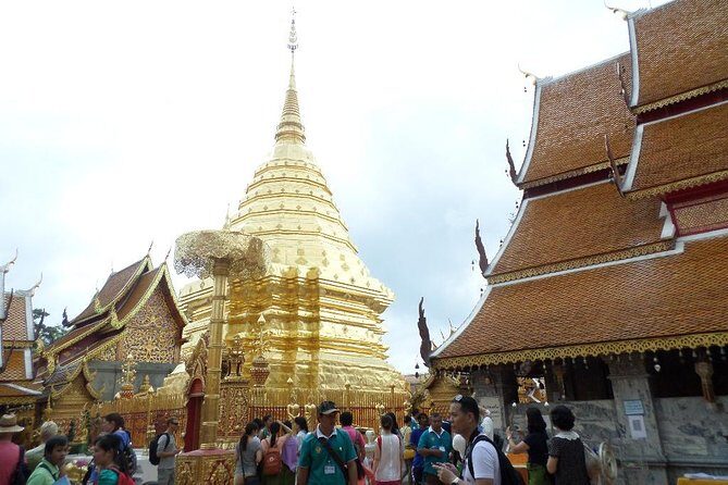 One day Doi Suthep Temple, Longneck hill tribe & Sticky waterfall - Key Points