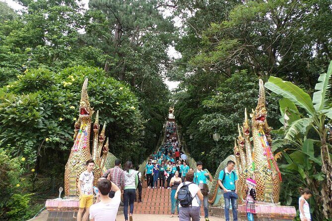 One day Doi Suthep Temple, Palad Temple & Sticky waterfall - A Detailed Look at the Itinerary