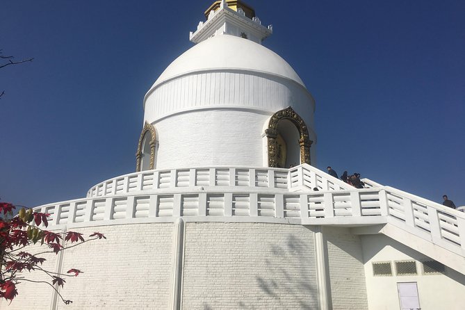 One Day Easy Hiking from Pokhara - The Reviews Tell the Real Story