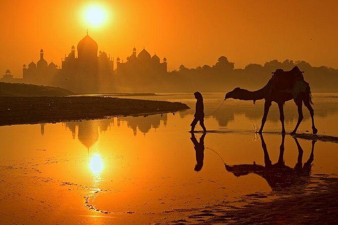 One Day Exclusively Grand Tour of Taj Mahal from Delhi - Authenticity and Experience Quality