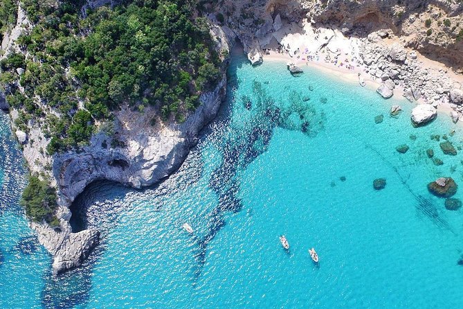 One Day Guided Boat Tour Along the Baunei Coast. - Customer Experiences