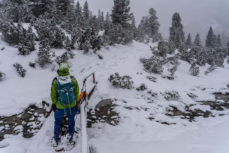 One day hike with snowshoes to discover Dolomites - The Sum Up: Who Should Consider This Tour?