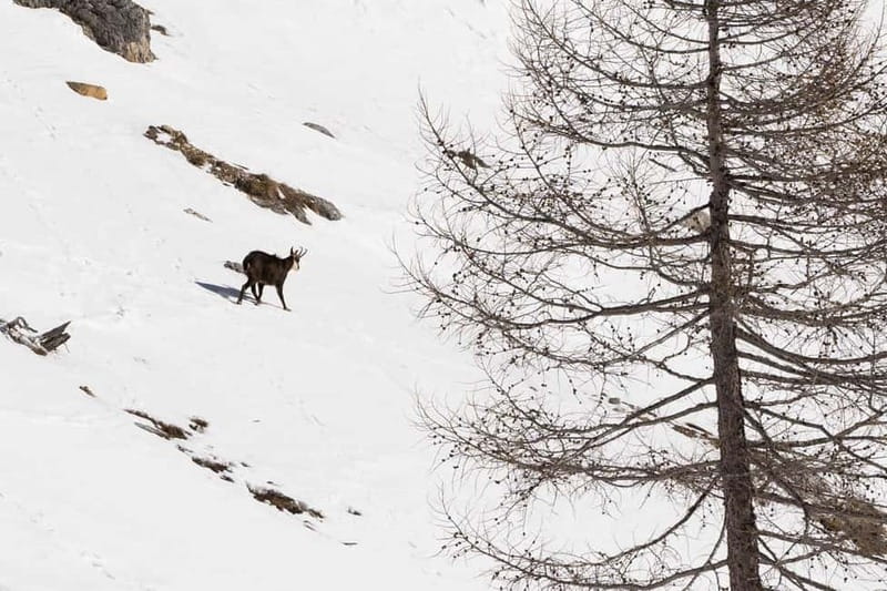One day hike with snowshoes to discover Dolomites - FAQ: Your Practical Questions Answered