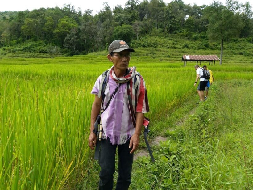 One day hiking tour in Chaing Mai - The Sum Up