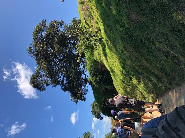 One day Hobbiton Movie set visit from Auckland - Authentic Experiences and Practical Tips