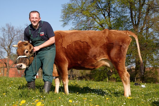 One day in the polish countryside- private tour from Krakow - Key Points