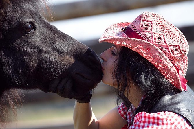 One day in the polish countryside- private tour from Krakow - Practical Details
