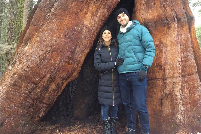 One Day In Yosemite Private Tour:Yosemite Valley, Glacier Point & Giant Sequoias - Authentic Experiences and What Travelers Say