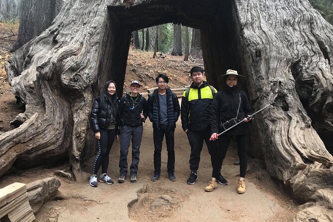 One Day In Yosemite Private Tour:Yosemite Valley, Glacier Point & Giant Sequoias - Is It Worth the Price?